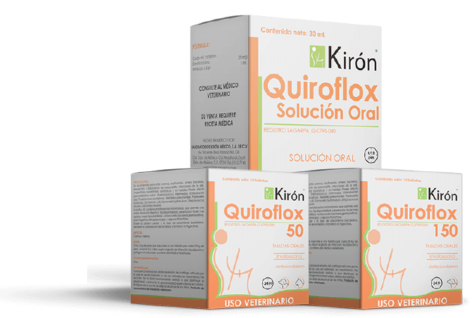 QUIROFLOX 50 10 TABLETAS – PetPaw.mx